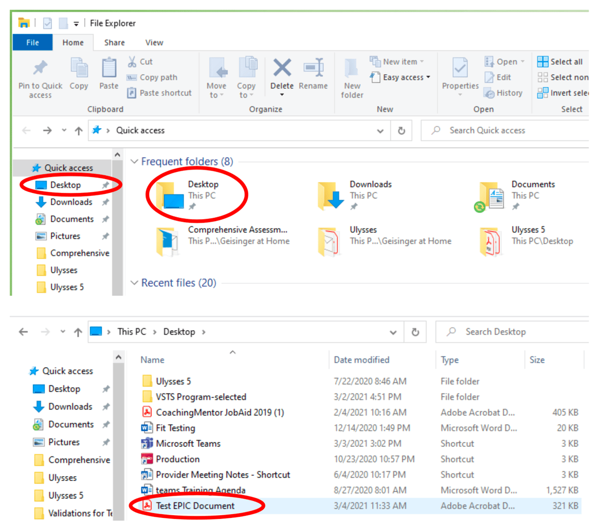 How to download notes from Epic